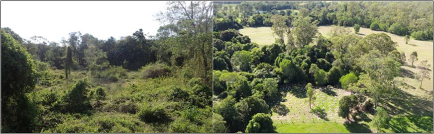 Roadmap for investment in land restoration | Wilson Environmental ...